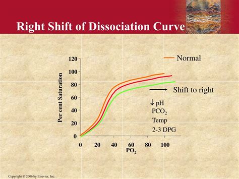 Ppt Uptake Of Oxygen In Lungs Powerpoint Presentation Free Download Id 3561291