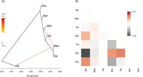 Treemix Results With Two Migration Events Modelled A Maximum