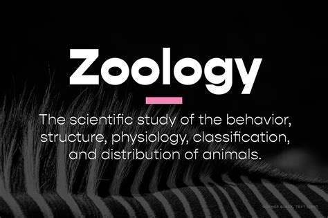 Gopher Font Dafont File