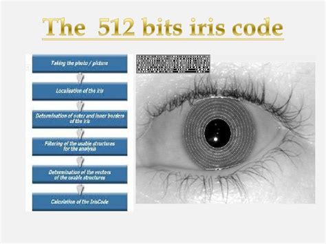 Iris Scanning