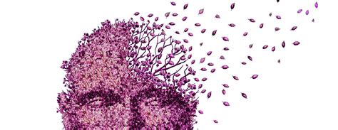 Як підтримувати мозок молодим результати досліджень про старіння