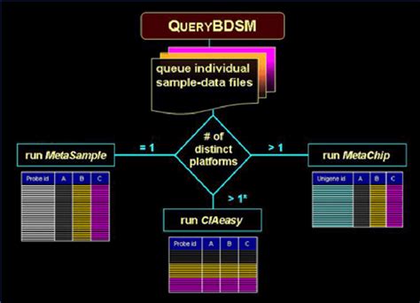 Workflow Schema For The Querybdsm Module Of Bdsm Individual Files Of Workflow Schema For The Querybdsm Module Of Bdsm Individual Files Of