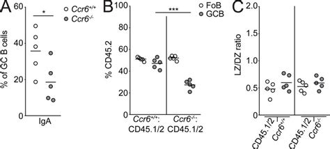 Ccr6 Deficiency Does Not Lead To GC Outgrowth Or Alter GC Polarity Download Scientific Diagram