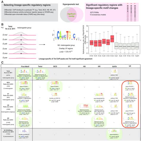 Application Of Divergent Motif Discovery To Publicly Available