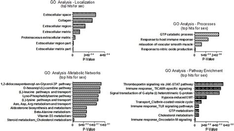 Go Enrichment Analysis For Top Hits Of Sex Significant Genes Go Term Download Scientific