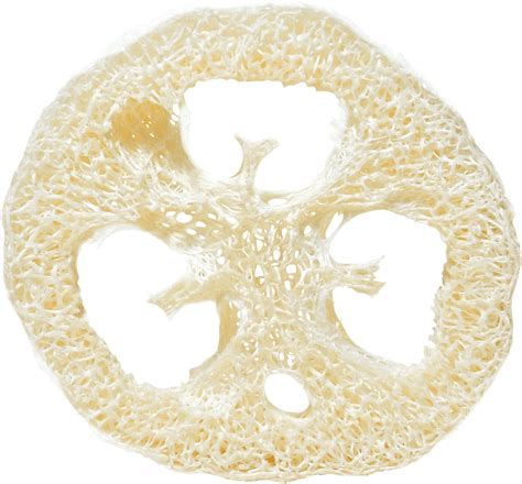 Rosenrot Luffa Ecco Verde Česká Republika