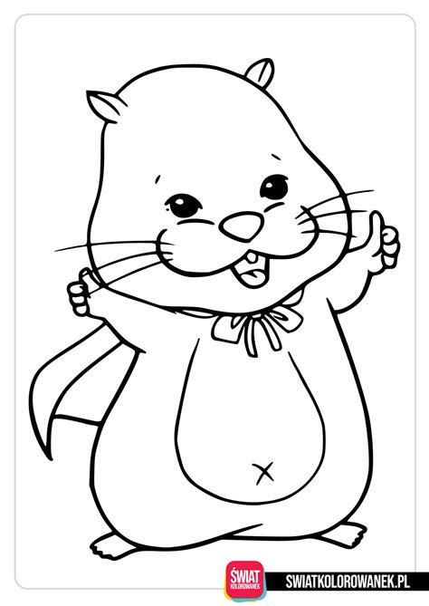 Kolorowanki Chomiki Światkolorowanek Pl