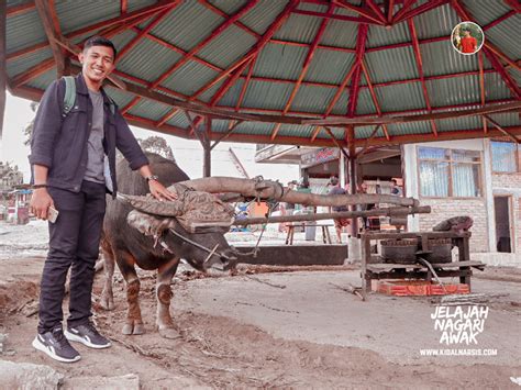 Jelajah Nagari Awak Manisnya Saka Lawang Nagari Penghasil Gula Tebu Tradisional Di Ranah Minang