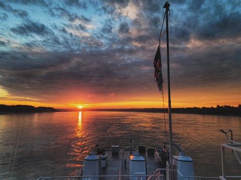 Allison Baley Posted On Linkedin