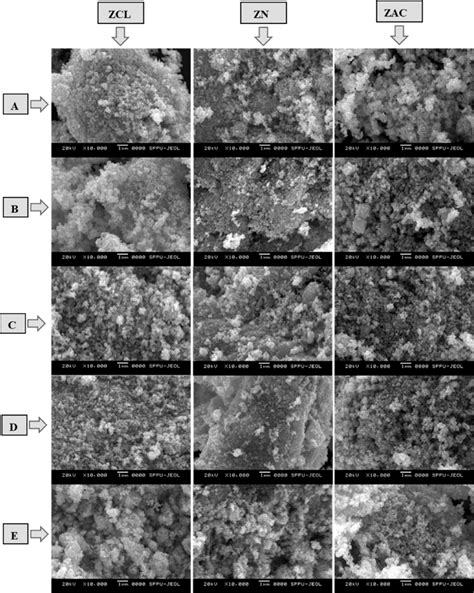 Sem Micrograph Of 0 2 5 7 And 10 Wt Ag Doped Zno A B C D