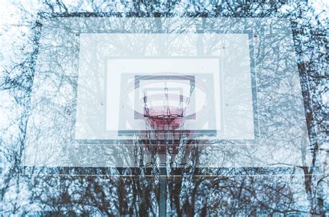 How To Use Runif For Uniform Distribution In R Unlock T