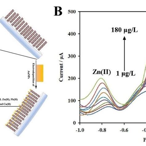 Electrochemical Detection Of Heavy Metal Ions Zn2 Pb2 And Cu 2 Download Scientific