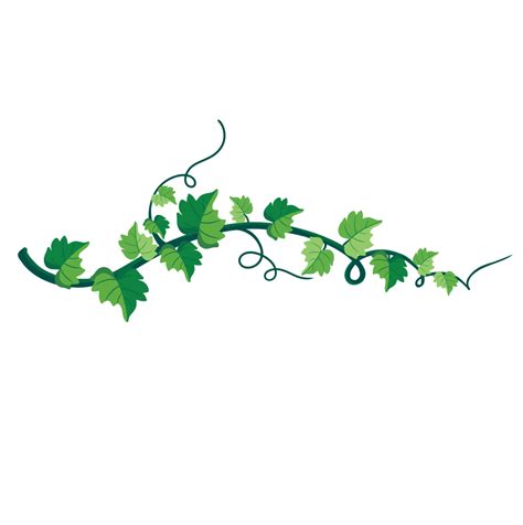 Hình ảnh Cây Xanh Dây Leo Png Cây Nho Cây Cây Xanh Png Miễn Phí Tải