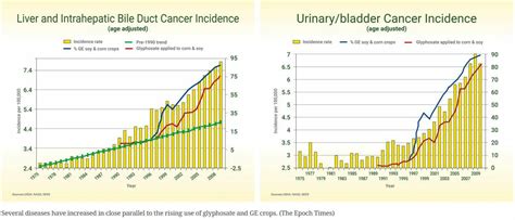 The Us Mexico Dispute Over Gm Corn Safety Could Transform American
