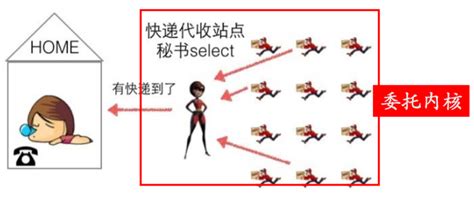 Linux高并发服务器开发 Csdn博客