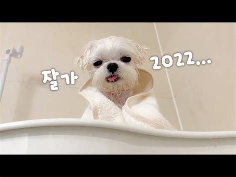 올해 마지막 목욕해쪄 YouTube