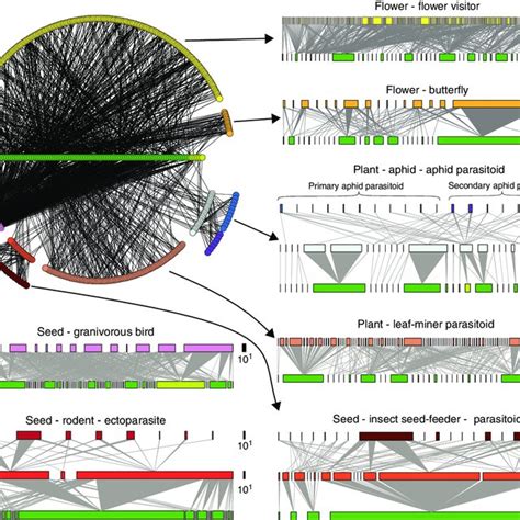 Species Interaction Networks At Norwood Farm Somerset Uk The Entire Download Scientific