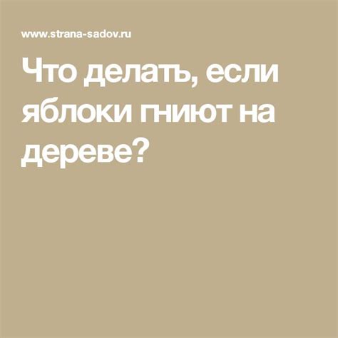 Что делать если яблоки гниют на дереве