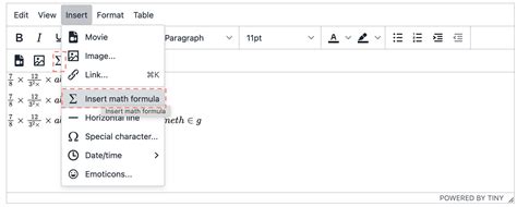 Math Formula Openolat Documentation