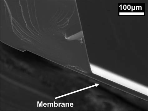 Membrane Formed By Electrochemical Etch Stop Method From The Top Side Download Scientific