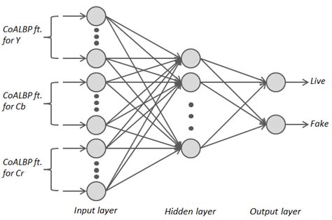 our mlp architecture for liveness detection download scientific diagram