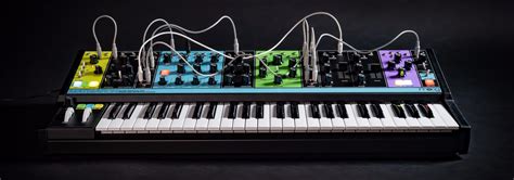 Moog Matriarch