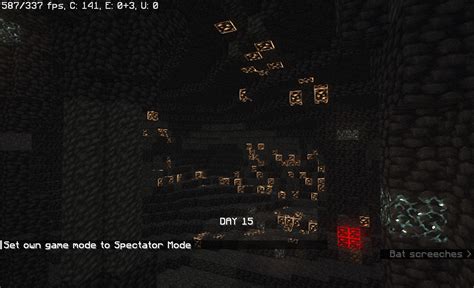 I Did Not Spawn This In This Was Found In Survial Just Went In Specter Mode To Take Pic Look How