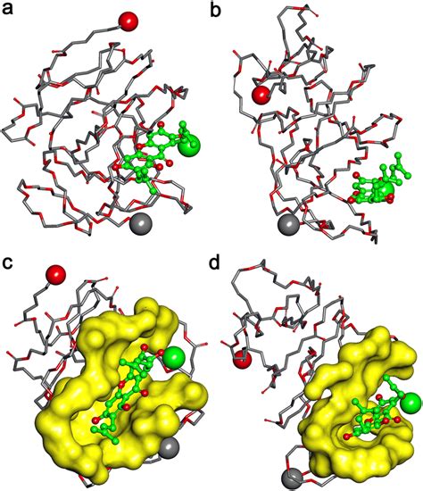 Interaction Modes Between Polymer And Compound Revealed By Langevin Download Scientific Diagram