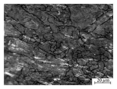 The Microstructure Of Specimens Deformed At A T 1000°c ε