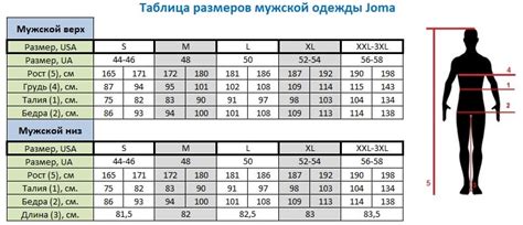 Как подобрать размер мужской одежды JOMA? Таблица соответствия размеров ...