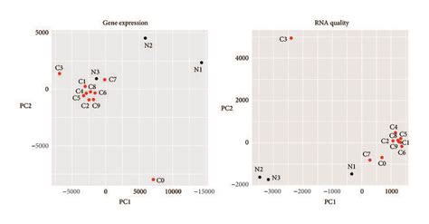 Systematic Evaluation Of RNA Seq Data A PCA Plots Of RNA Seq Data Download Scientific