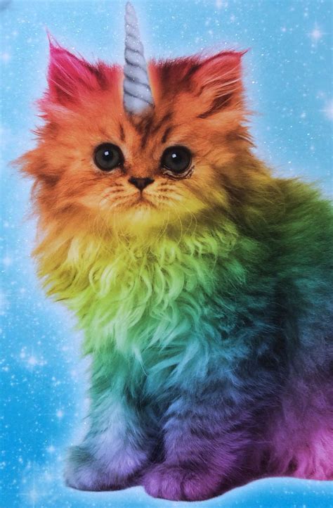 Magical Unicorn Rainbow Kitten Unicorn Cat Rainbow Kittens Cute Cats