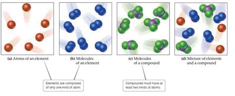 Visualizing The Structure Of An Element A Particle Diagram Perspective