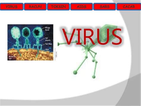 Virus Pptxvirus Pptx Virus Pptx Virus Pptx