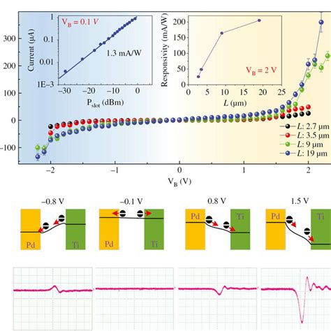 Characterization Of Responsivity Of The Devices A Measured Download Scientific Diagram