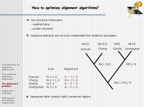 Cs 177 Sequence Alignment Classification Of Sequence Alignments