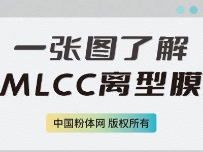 学粉体 一张图