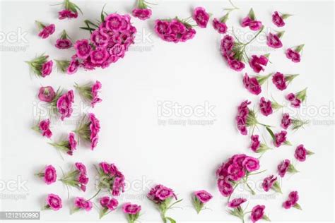 카피 스페이스가 있는 플로럴 어레인지 인사말 카드 또는 디자인을위한 템플릿입니다 흰색 나무 배경에 분홍색 카네이션의 프레임 0명에 대한 스톡 사진 및 기타 이미지 Istock