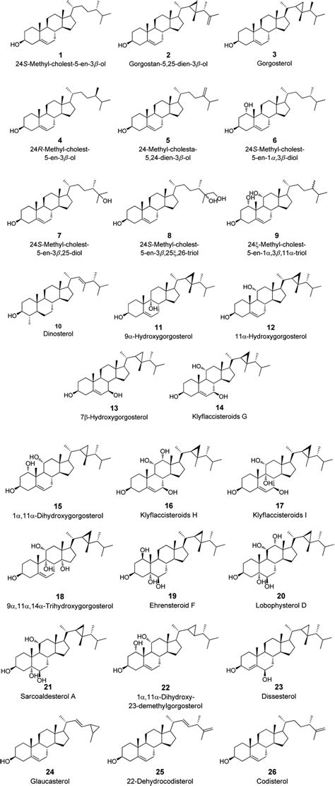 Tested Steroid Derivatives 126 Download Scientific Diagram