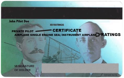 Types Of Pilot Licenses A Guide For New Pilots Thrust Flight
