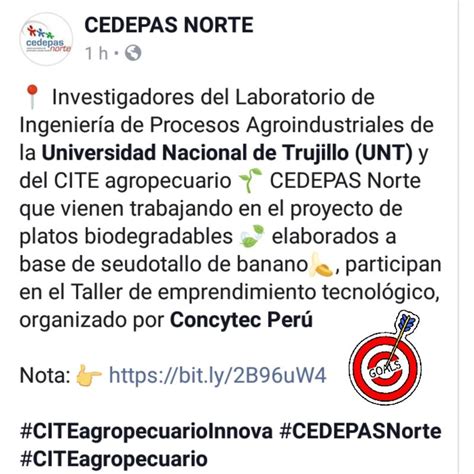 Utensilios Biodegradables Para Alimentos Ricardo David Vejarano Mantilla