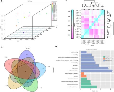 The Differentially Expressed Genes DEGs In PSI A PCA Plot B