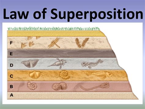 Law Of Superposition Short Definition At Steven Payton Blog