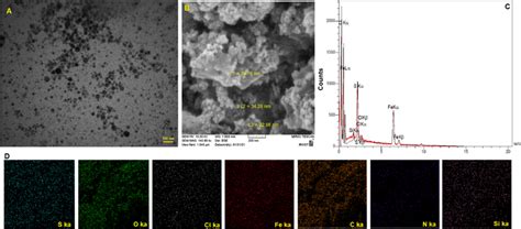 Structure And Composition Characterization Of 5 Fu Loaded Download Scientific Diagram