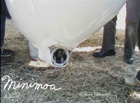 Minimoa Details いろはにかおすブログ