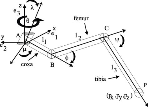 Three Linked Rigid Rods Representing The Leg Of An Insect Download
