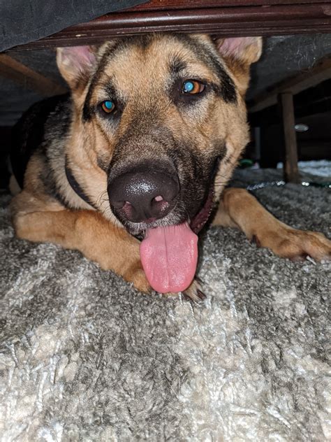 Joel Mckell Jmckell Twitter