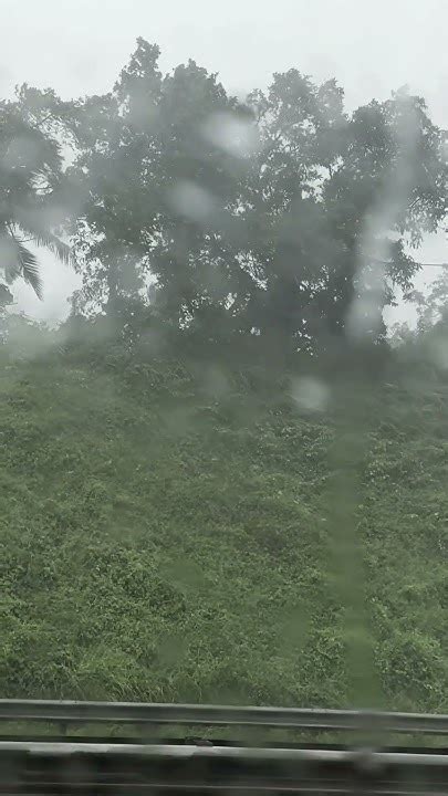 සීත කාලෙ ලග ලගම එනවා ️ Youtube