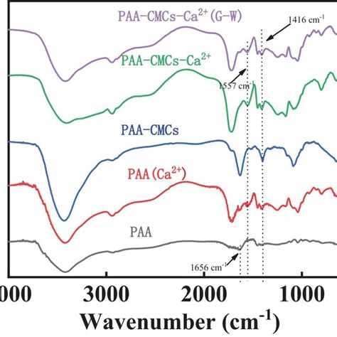 A Storage Modulus G And B Loss Modulus G” Of The Paa Hydrogel And