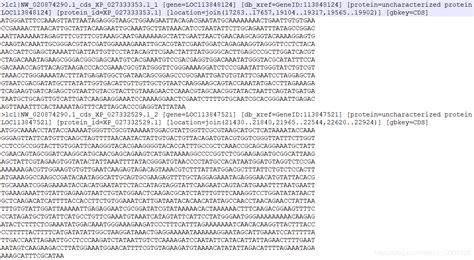 Python 实现大文件读写如何读取fna格式文件 Csdn博客